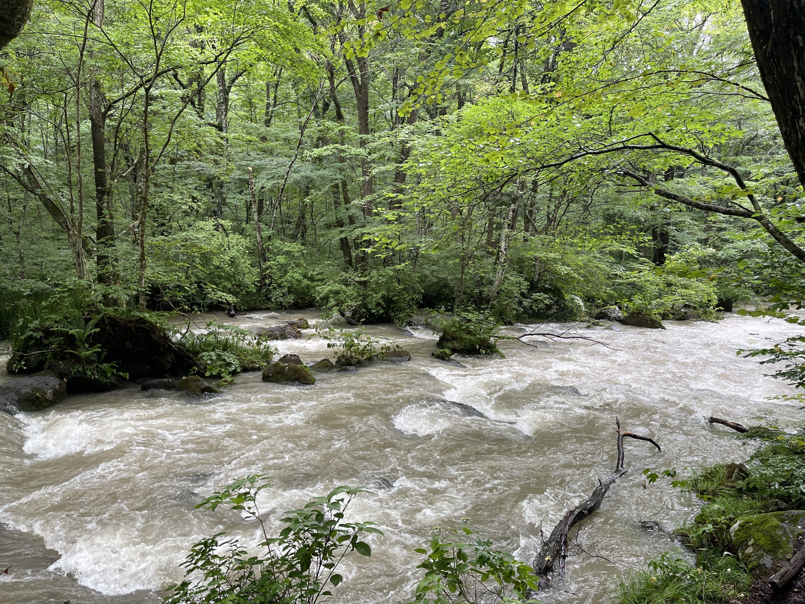 東北旅行①：青森県「八戸・奥入瀬渓流」 / A trip to Tohoku①: Aomori prefecture “Hachinohe・Oirase Keiryu (Mountain ...